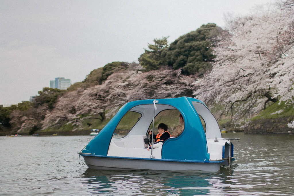 Boats & sakura at Chidorigafuchi park, the most romantic cherry blossom ...