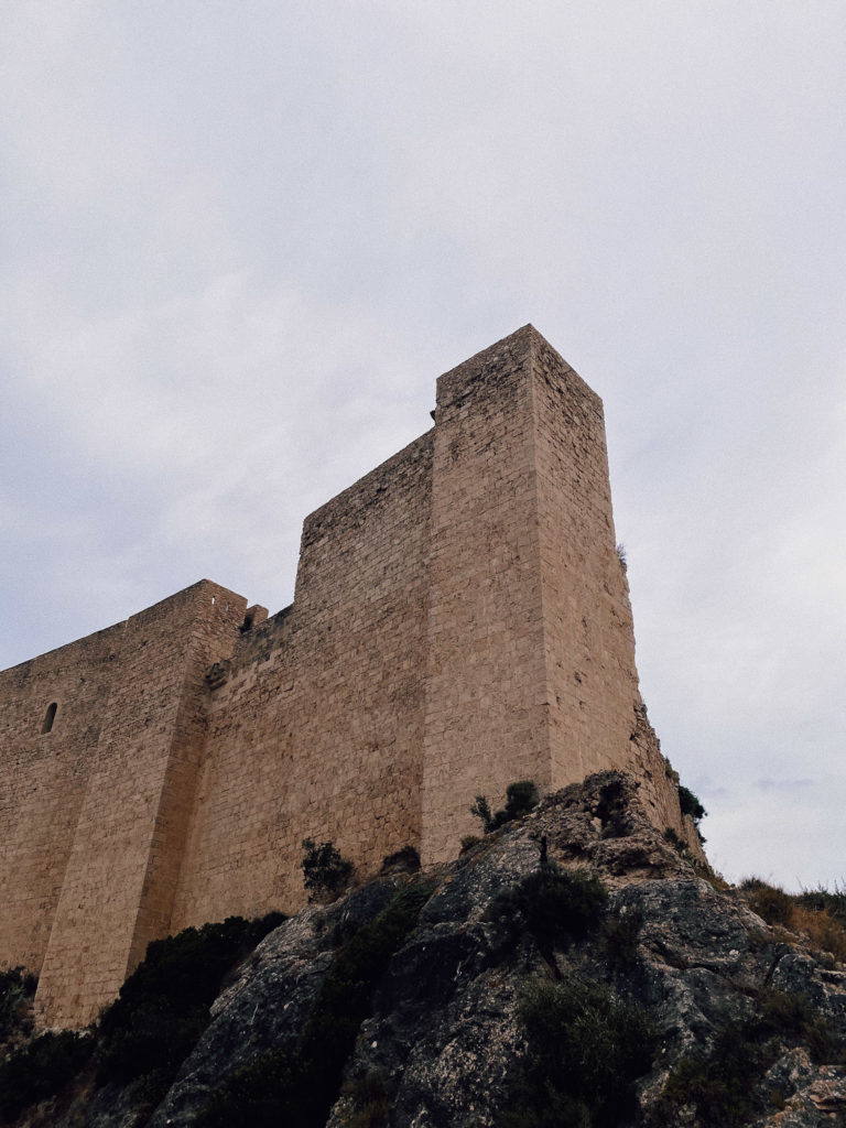 Staycation: Miravet - The cat you and us