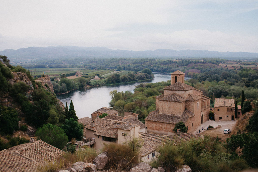 Staycation: Miravet - The cat you and us