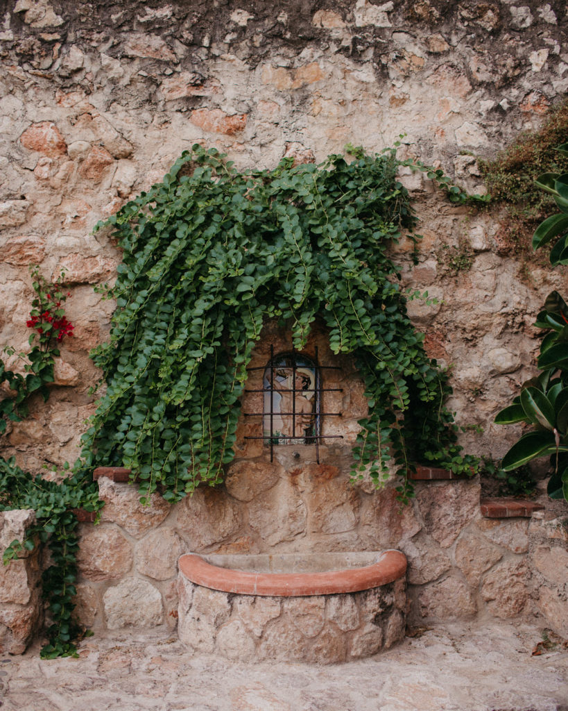 Staycation: Miravet - The cat you and us